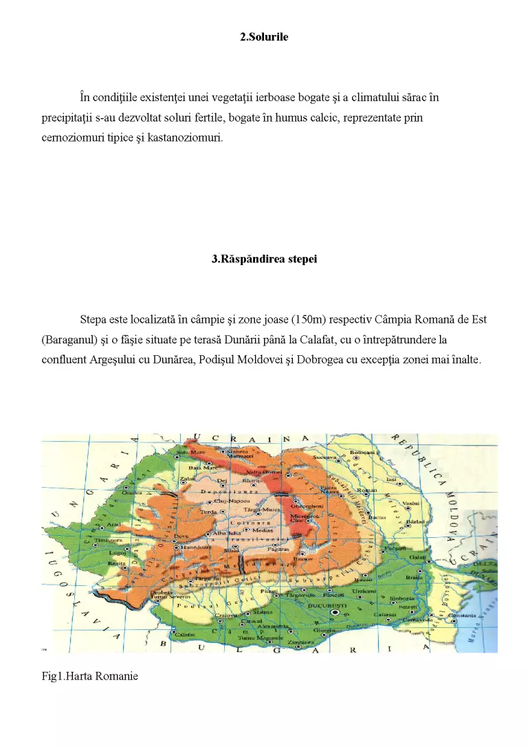 Zona de Stepă a României - Proiect - Geografie #236579 | RegieLive