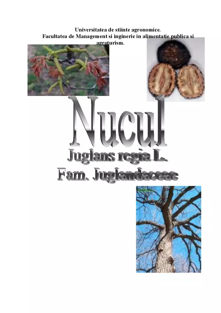 Nucul - Referat - Biologie #23687 | RegieLive