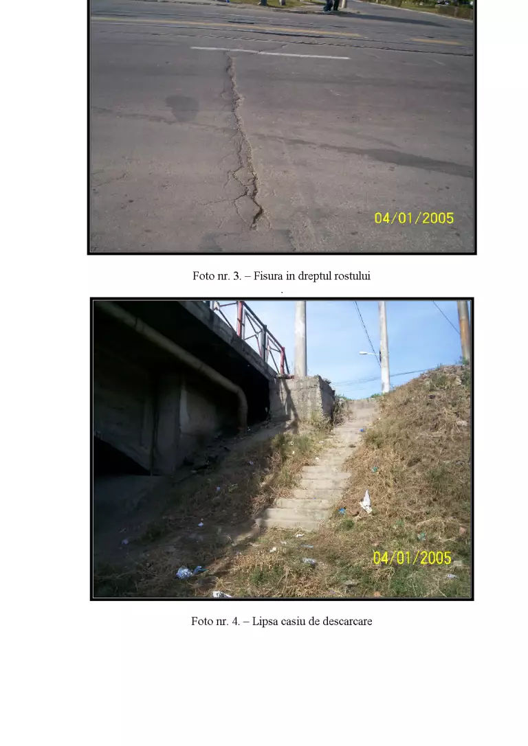 Expertiza tehnică a podului peste Râul Bahlui Județul Iași - Proiect ...