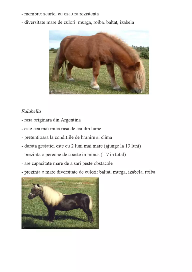 Tehnologia creșterii animalelor - Proiect - Agronomie #239059 | RegieLive