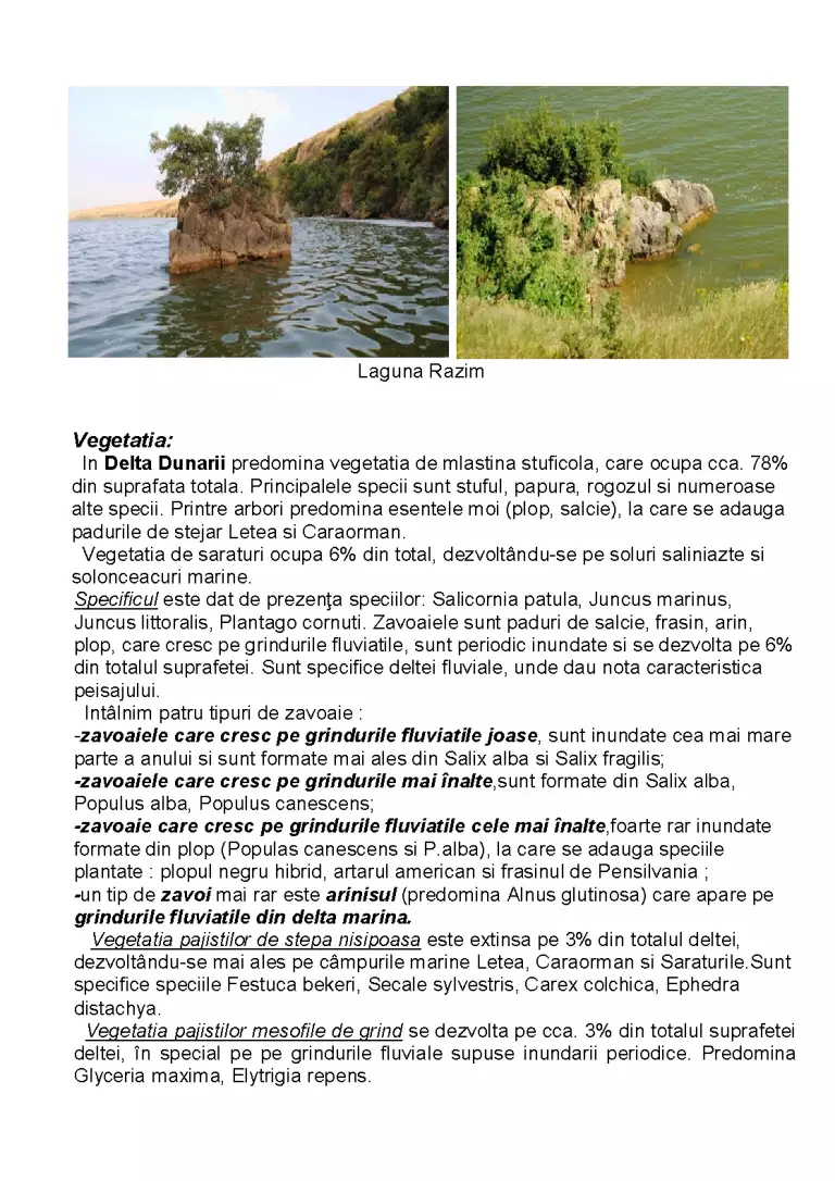 Delta Dunării - Referat - Ecologie #241594 | RegieLive