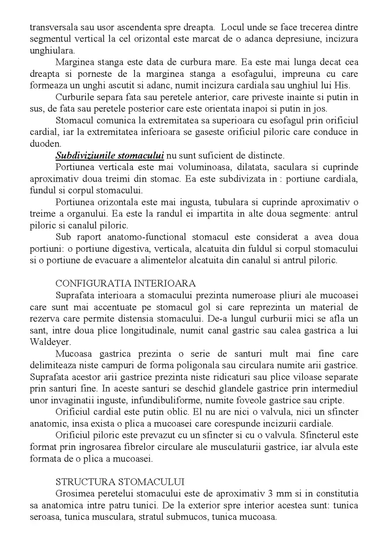 Anatomia Stomacului - Referat - Medicină #246131 | RegieLive