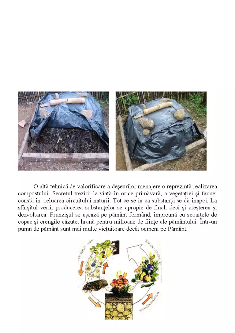 Formarea la copii a atitudinii față de mediu și protejarea acestuia ...