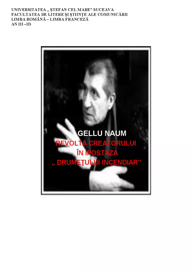 Revolta creatorului - Gellu Naum - Referat - Limba Română #252809 ...