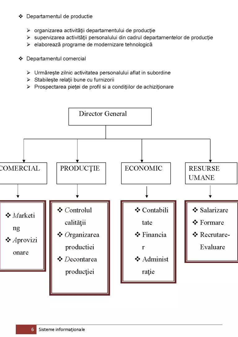 Proiectarea Sistemului Informațional al Firmei - Proiect - Management ...