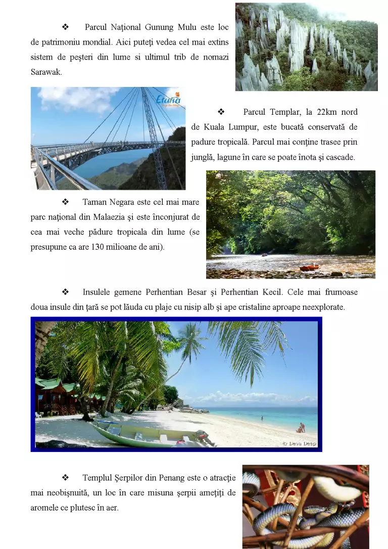 Geografia Turismului - Malaezia - Proiect - Geografie #257968 | RegieLive