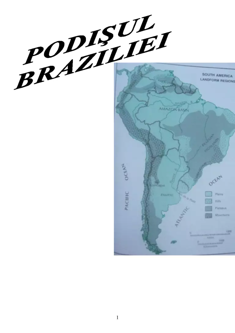Podișul Braziliei - Proiect - Geografie #261839 | RegieLive