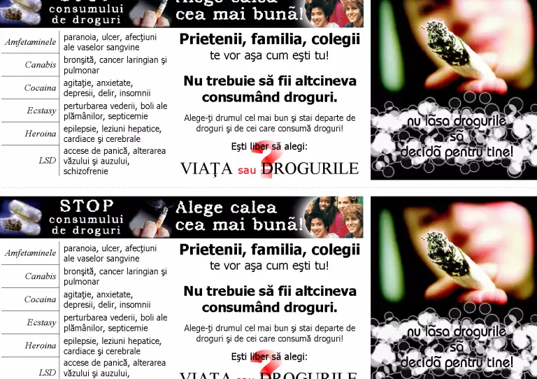 Droguri - Proiect - Biologie #280243 | RegieLive