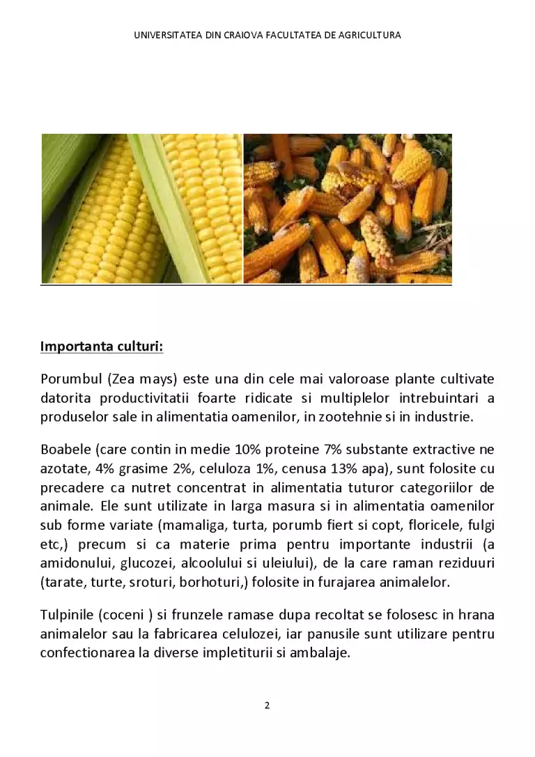 Surse de Gene Folosite în Ameliorarea Porumbului - Proiect - Agronomie ...