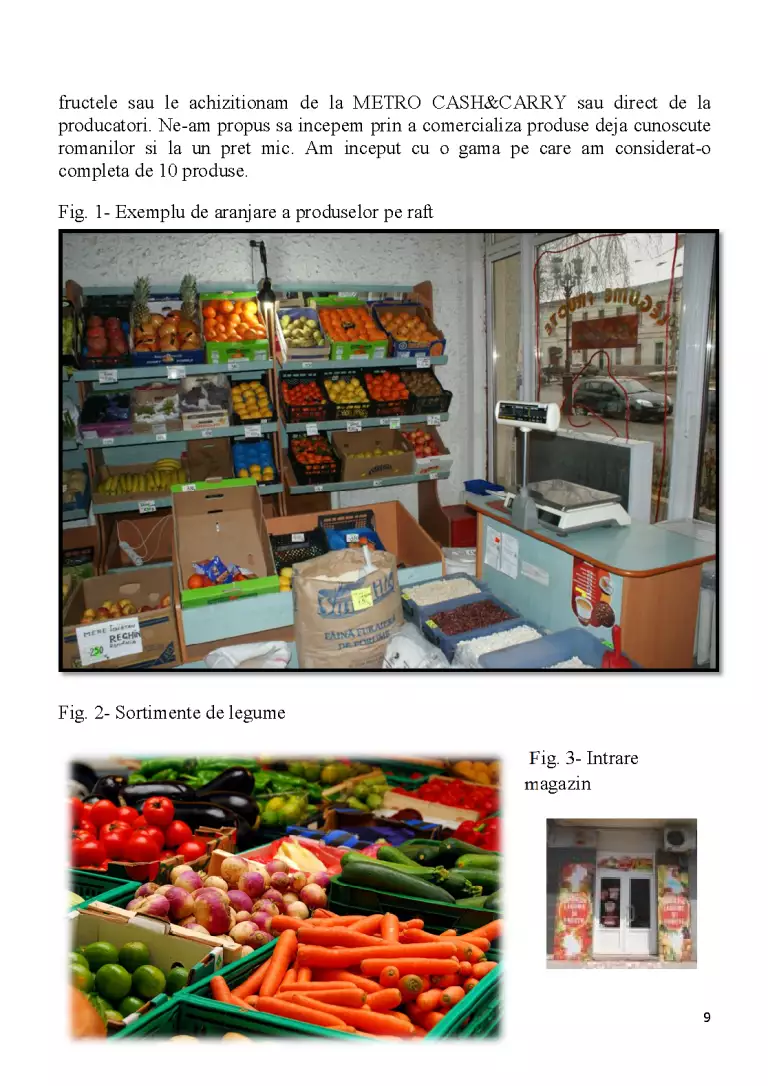 Studiu de Fezabilitate - Magazin Legume-fructe - Proiect - Economie ...