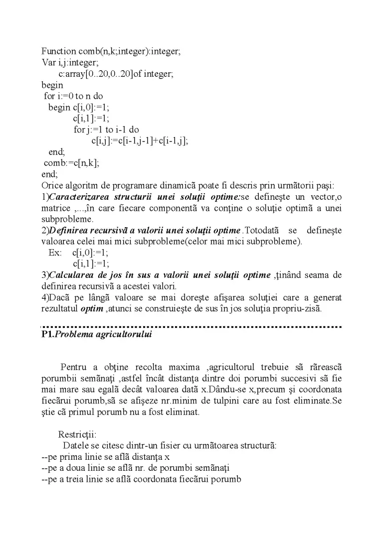 Programare dinamică - Referat - Limbaje de Programare #28785 | RegieLive