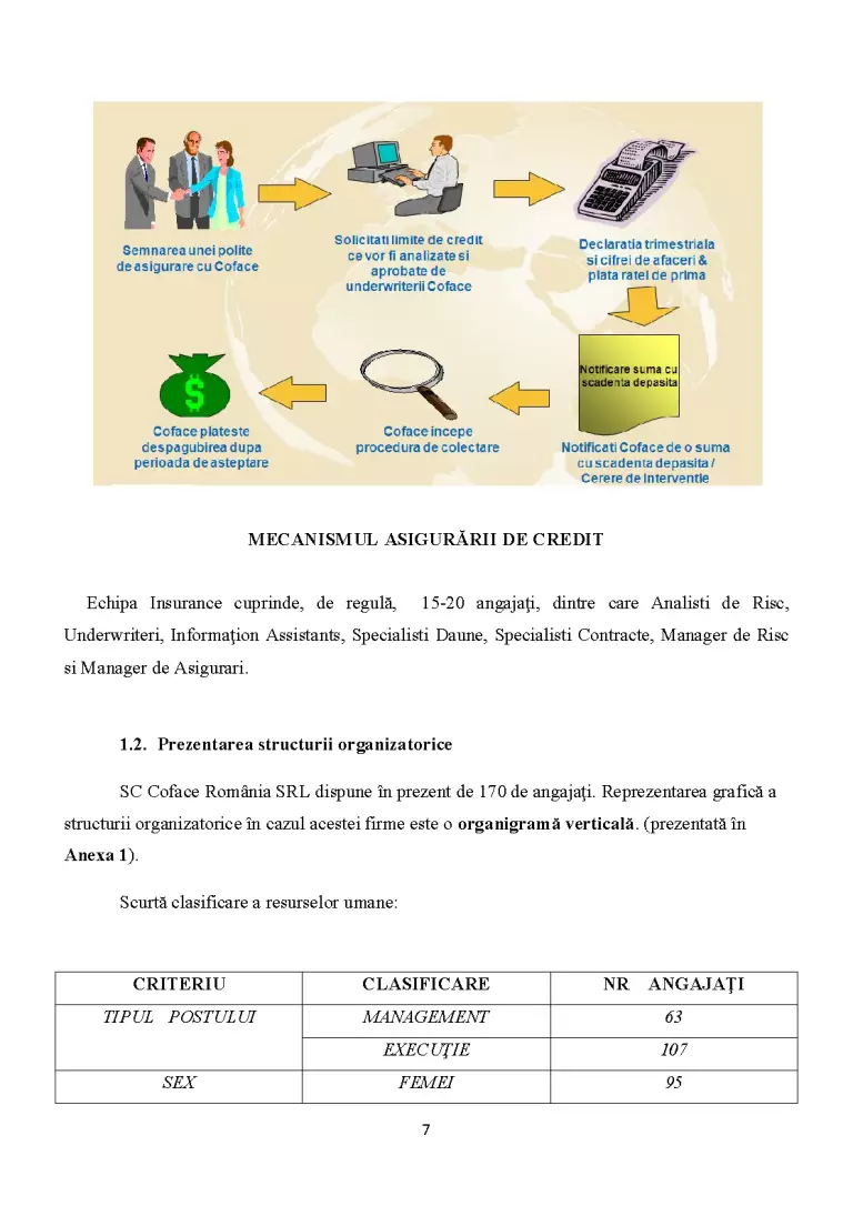 Proiect de practică la SC Coface România SRL - Proiect - Management ...