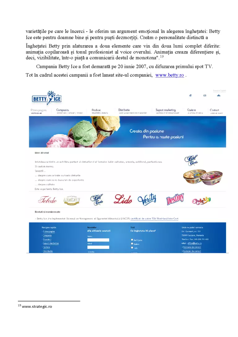 Analiza activității de marketing a firmei SC Betty Ice SRL - Proiect ...