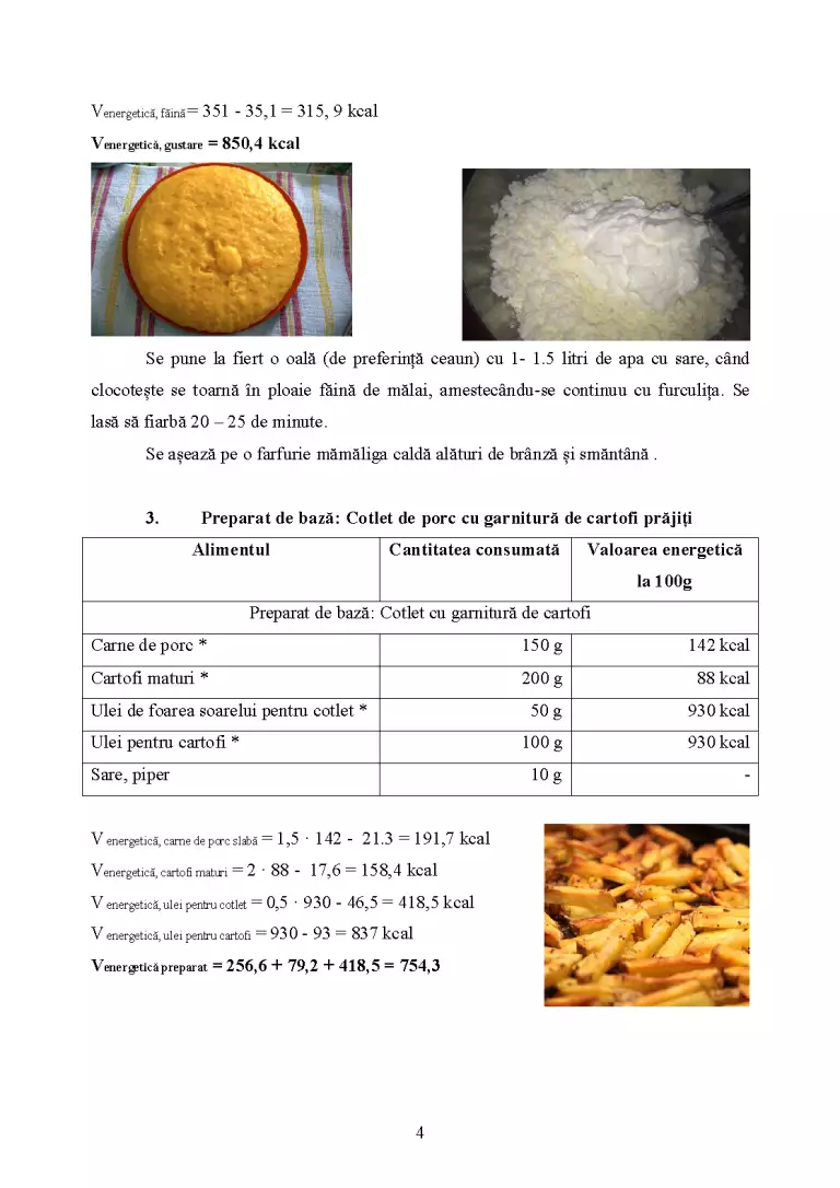 Managementul Serviciului de Food and Beverage - Referat - Management ...