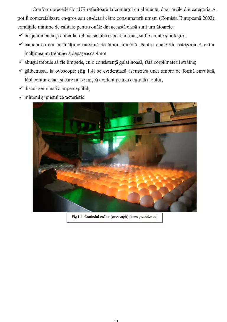 Metode de conservare la ouă - Proiect - Agronomie #307315 | RegieLive
