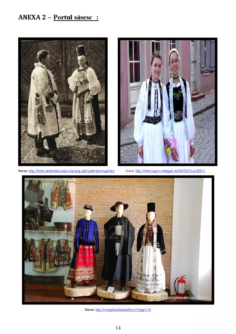 Etniile din interiorul Arcului Carpatic - sașii și secuii - Proiect ...