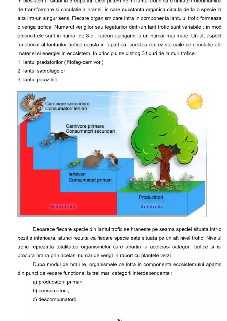 Relația biotop - biocenoză din cadrul diferitelor tipuri de ecosisteme ...