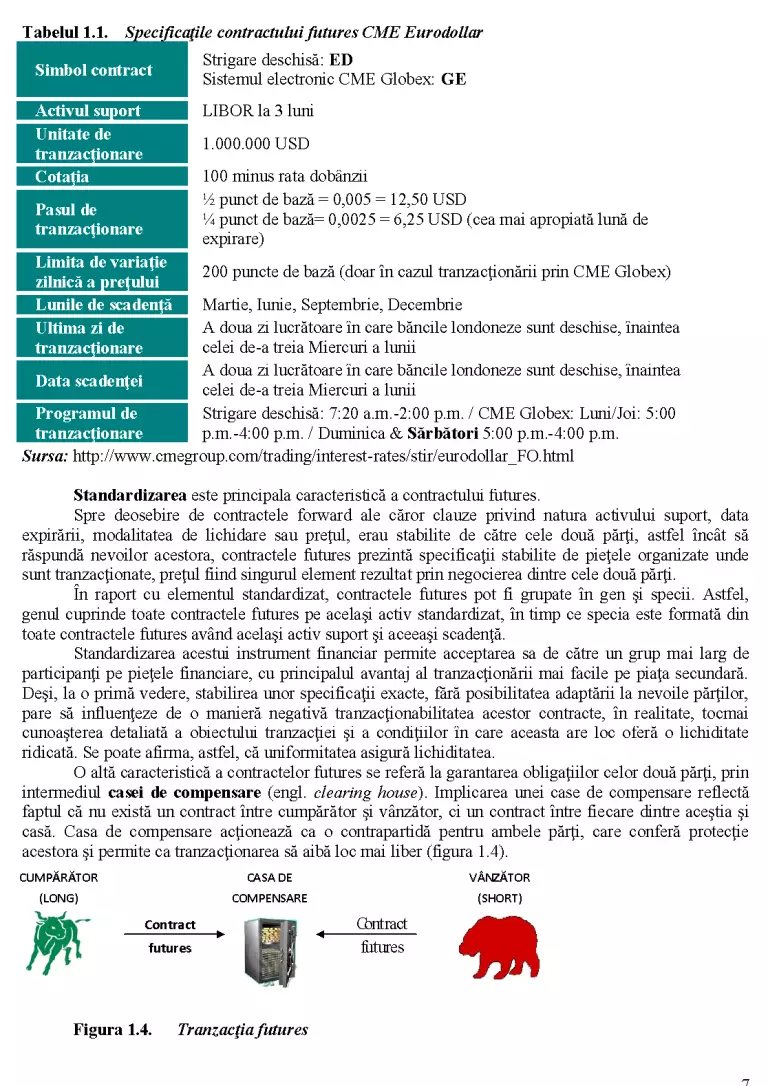 Instrumente Financiare Derivate - Curs - Economie #311960 | RegieLive
