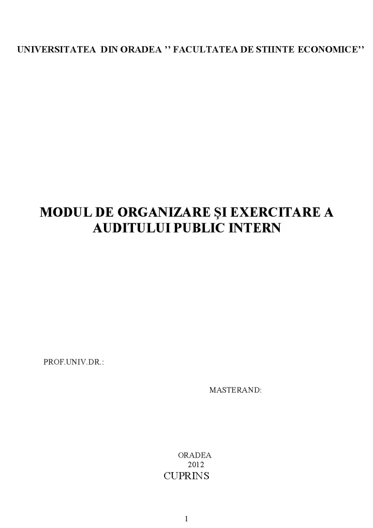 Modul de Organizare și Exercitare a Auditului Public Intern - Proiect ...