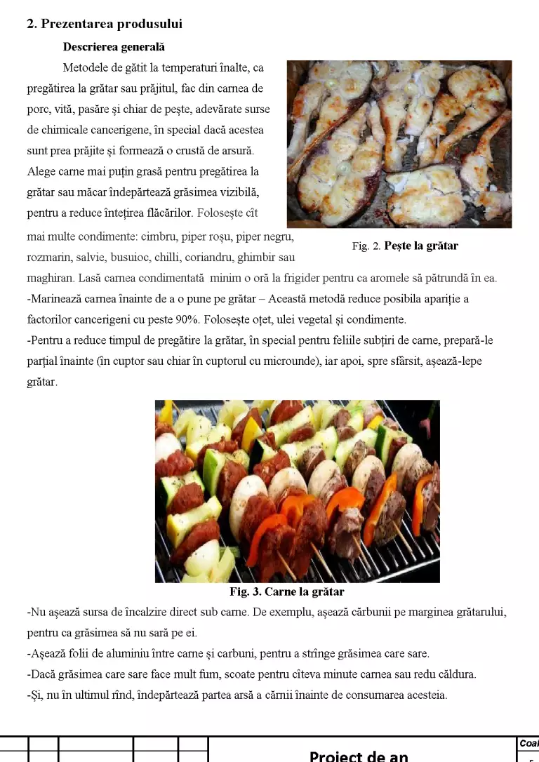 Întreprindere specializată grătar fantastic cu capacitatea de 100 ...