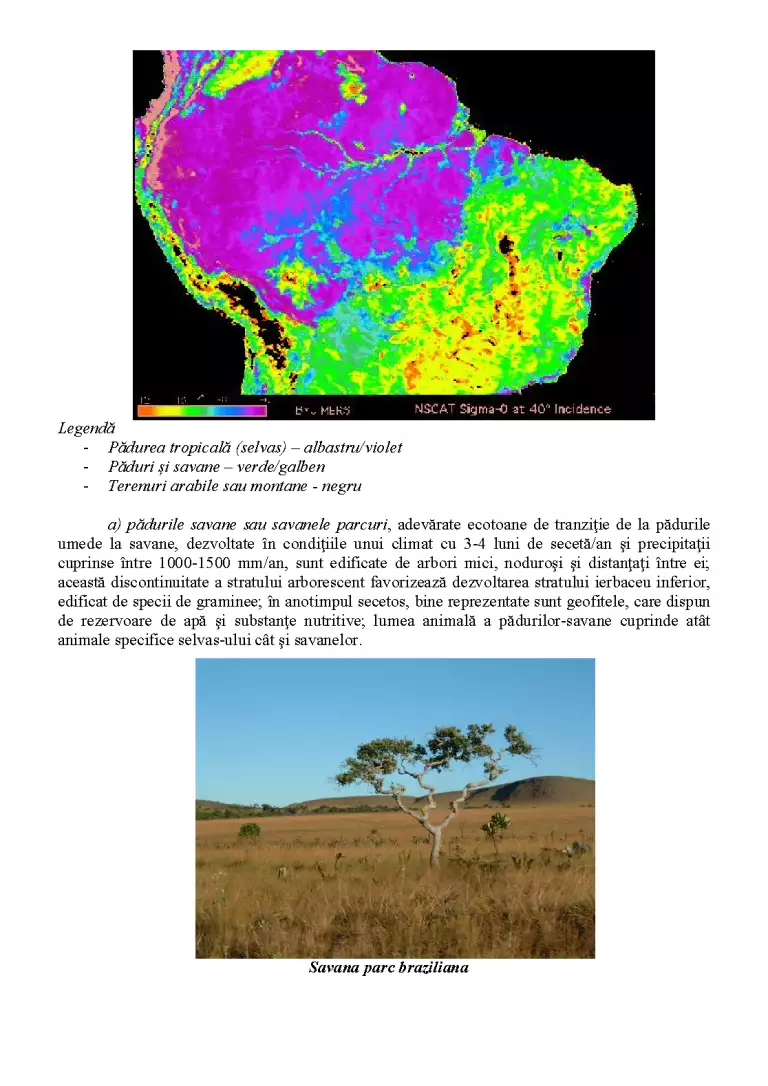 Medii Intertropicale Brazilia - Referat - Geografie #324964 | RegieLive