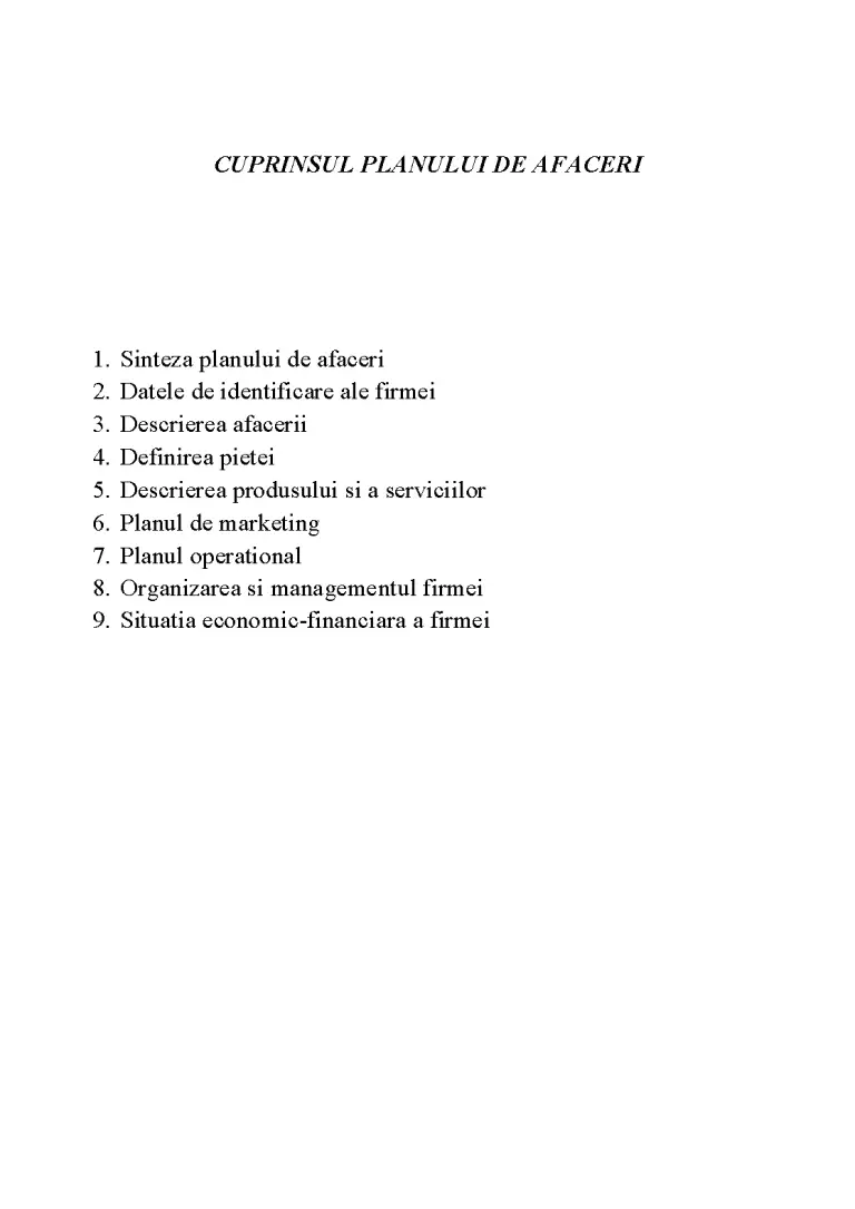 Plan de afaceri - înființarea unei firme de servicii software - Referat ...