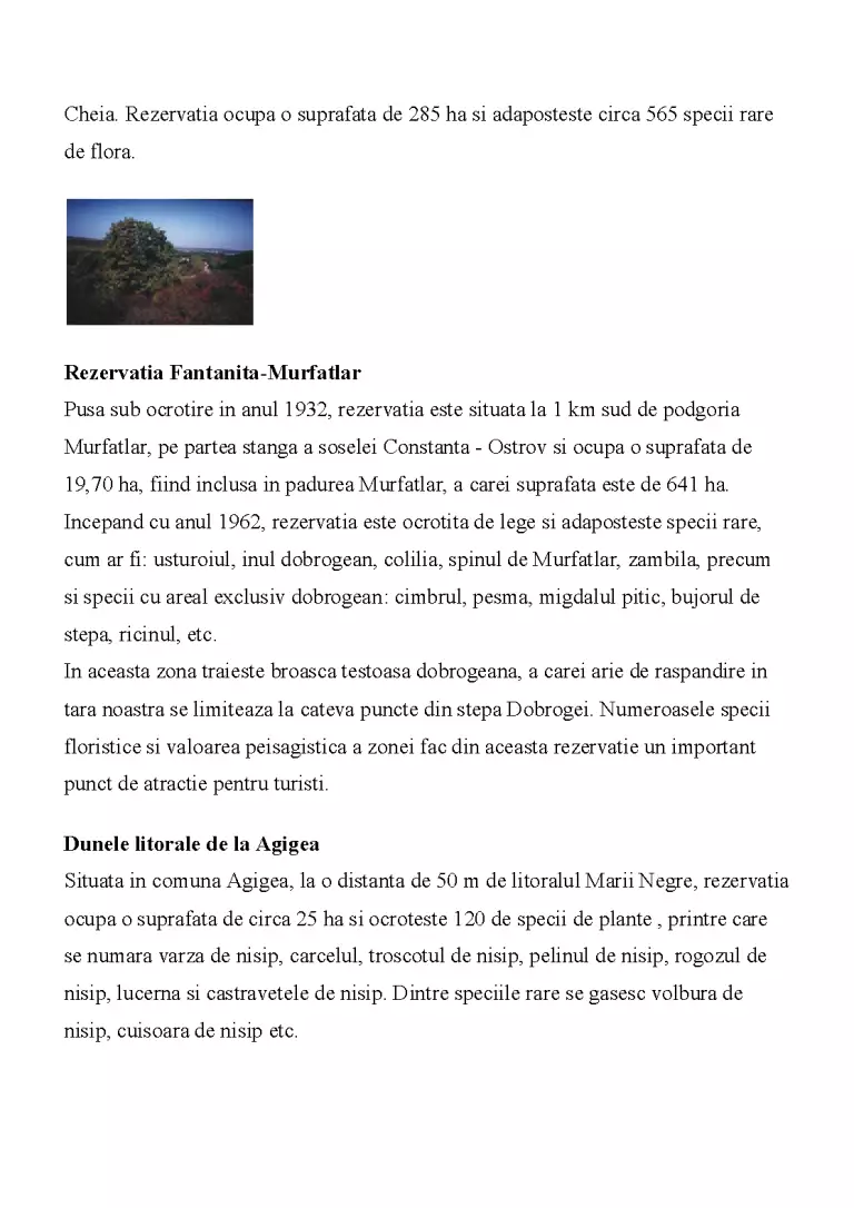Potențialul turistic al Județului Constanța și tipuri de turism ...