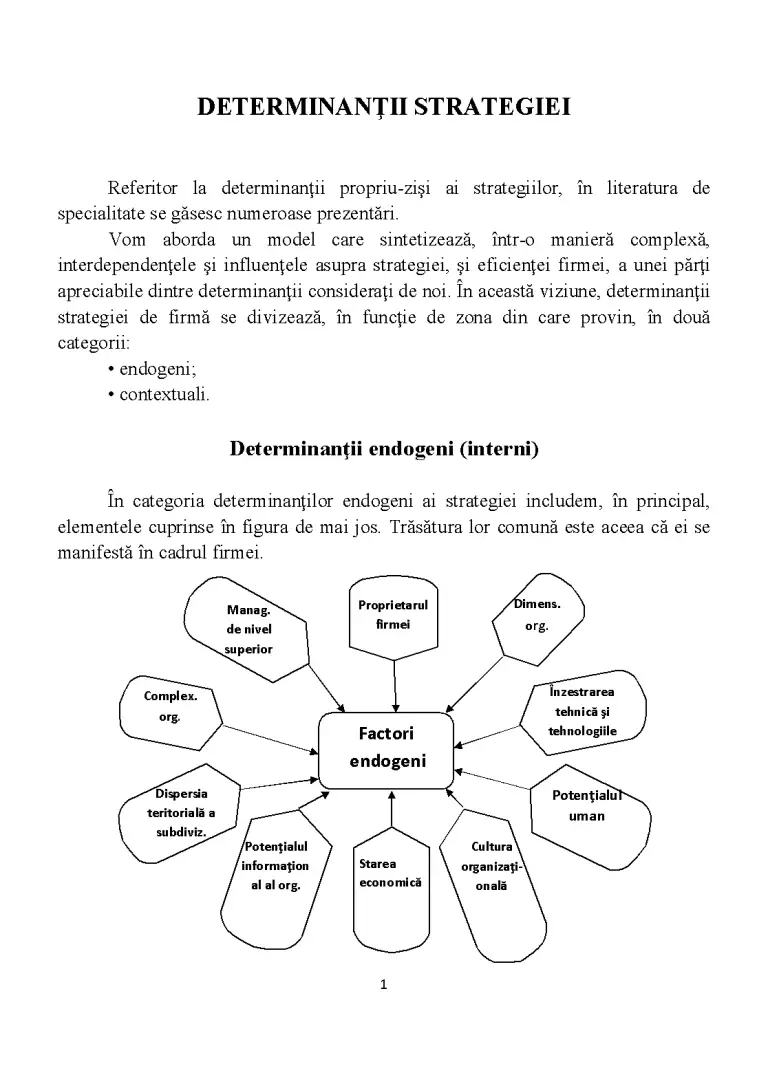 Determinanții Strategiei - Referat - Management #338294 | RegieLive