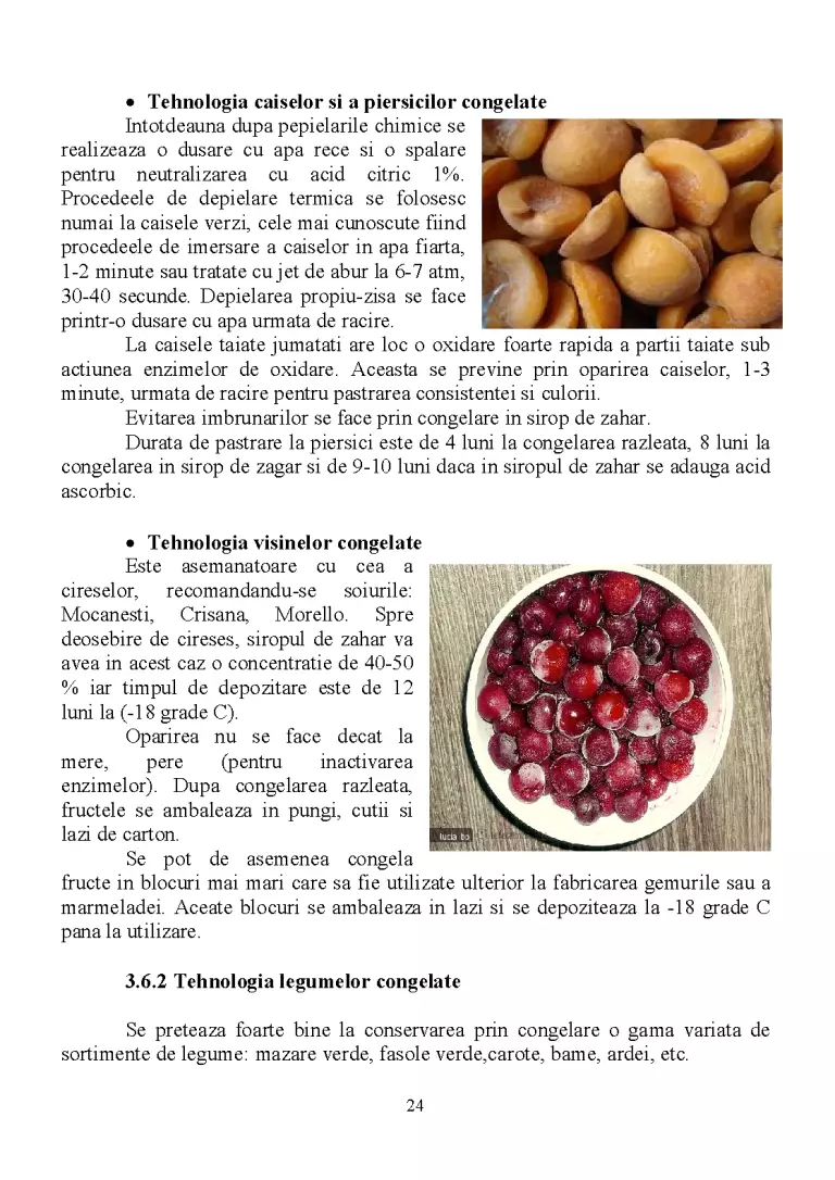 Tehnica frigului și climatizării la fructe și legume - Proiect ...