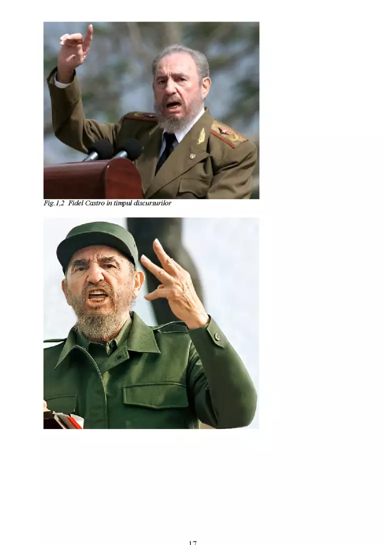 Profil Psihologic - Fidel Castro - Disertație - Psihologie #340666 ...
