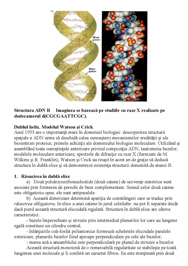 Nanotehnologia ADN-ului Supramolecular - Referat - Chimie Generală ...