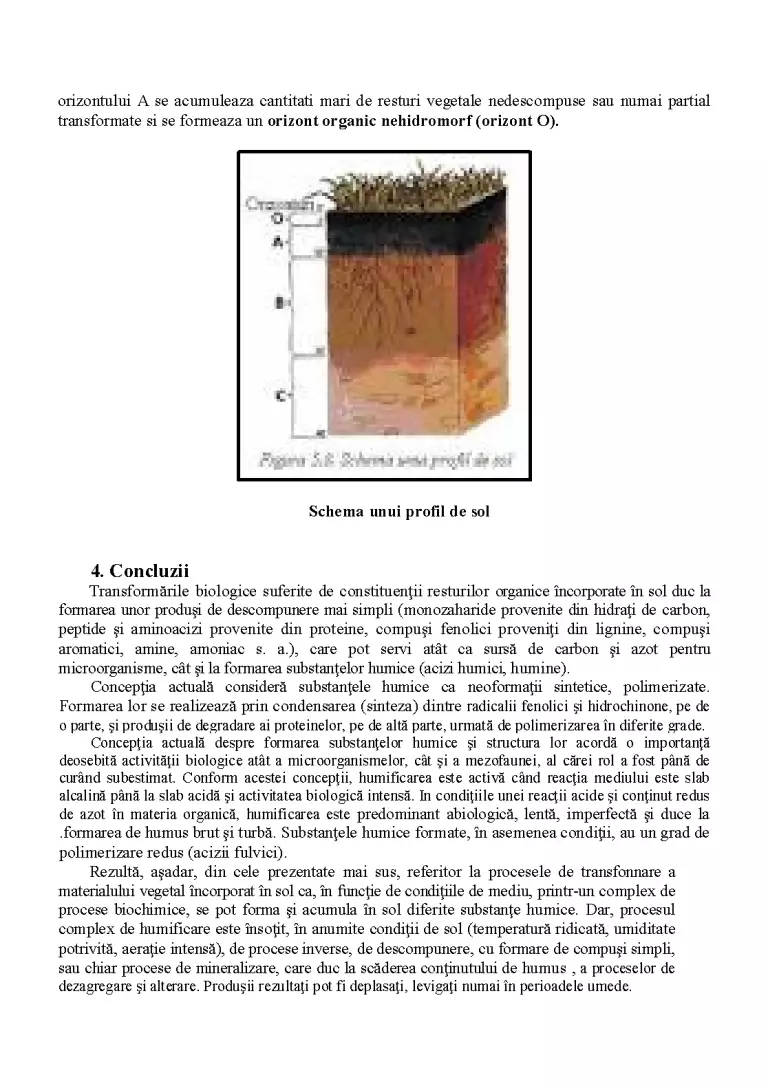 Bioacumularea, Formarea Orizonturilor A,O,T - Referat - Pedagogie ...