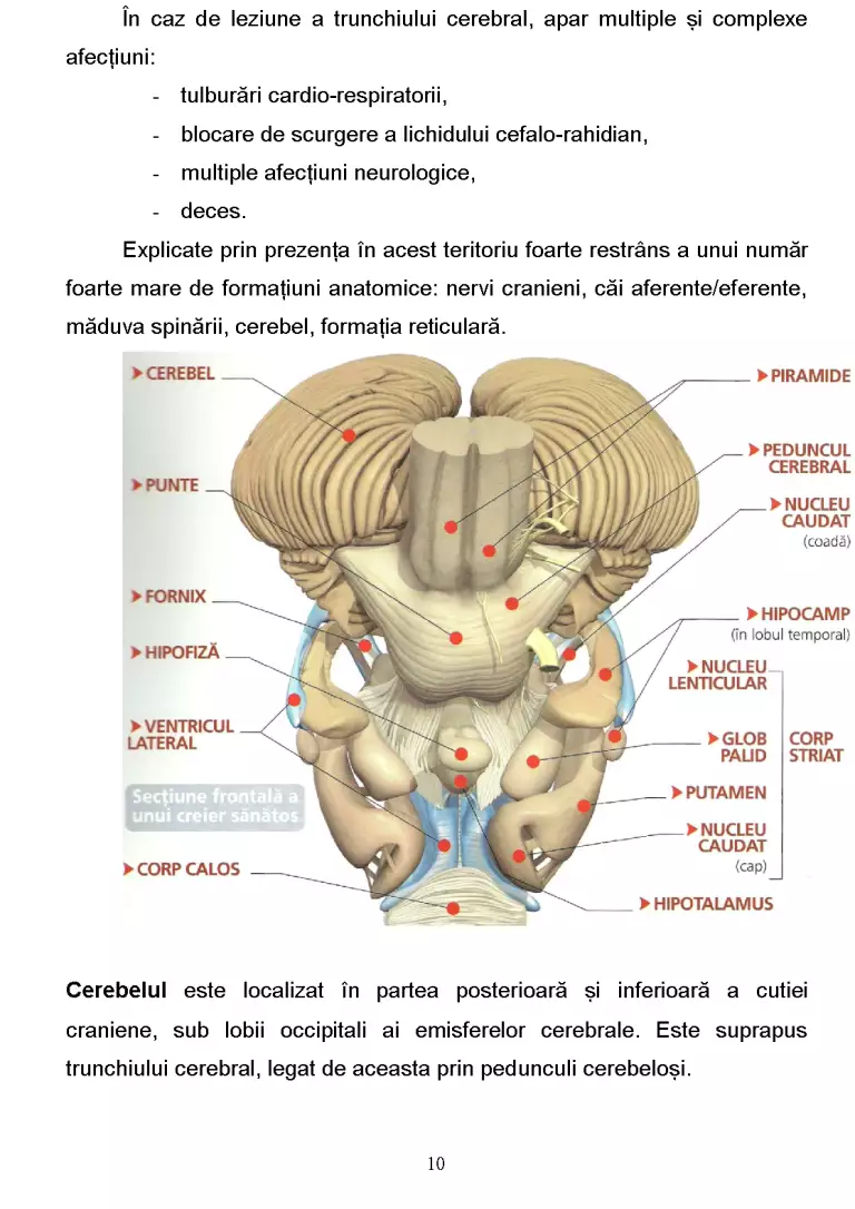 Rolul asistentei medicale în îngrijirea bolnavilor cu accident vascular ...