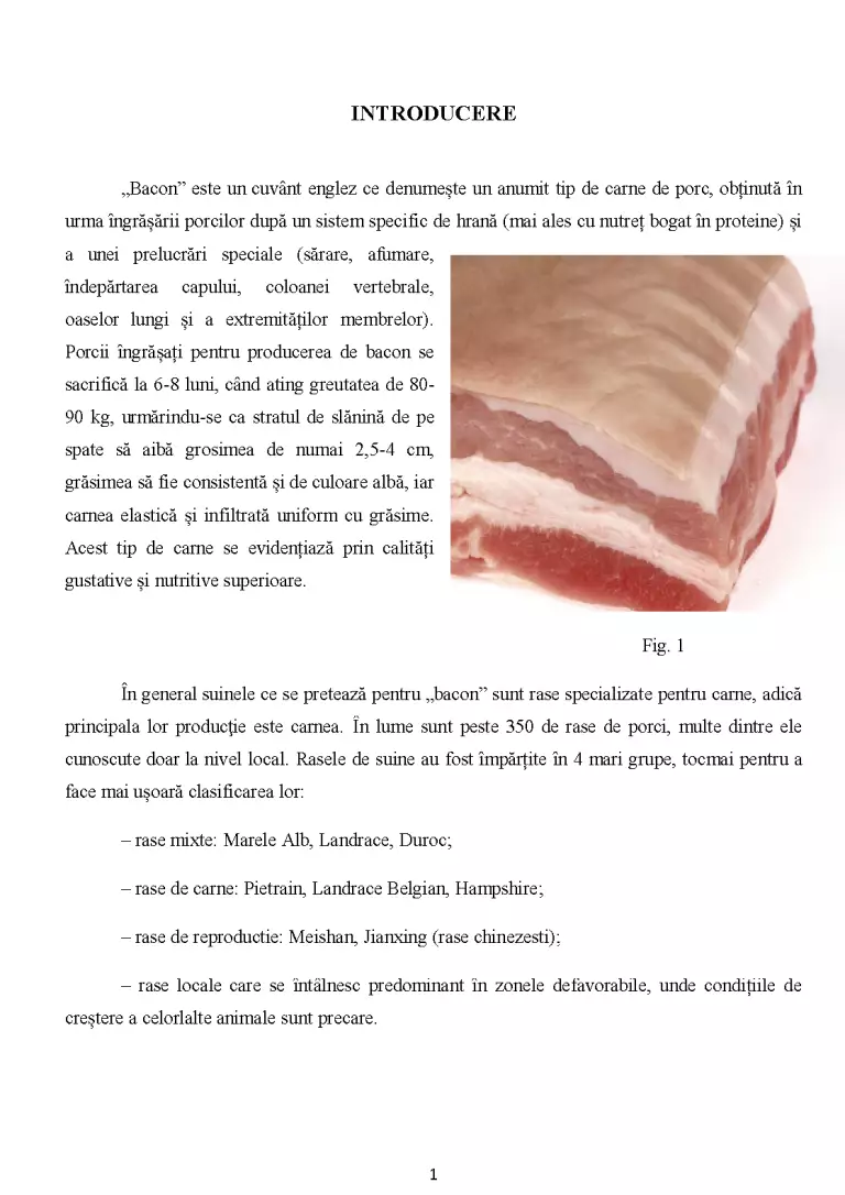 Tehnologii de obținere a baconului la unele rase de suine - Proiect ...