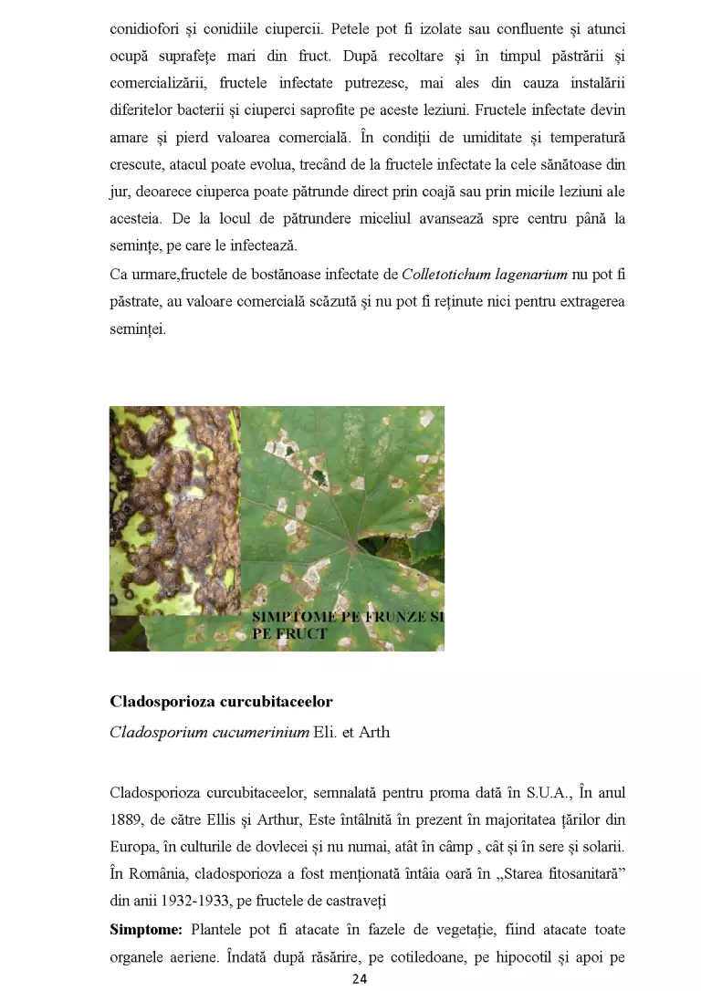 Standarde de calitate și comercializare ale dovleceilor - Proiect ...