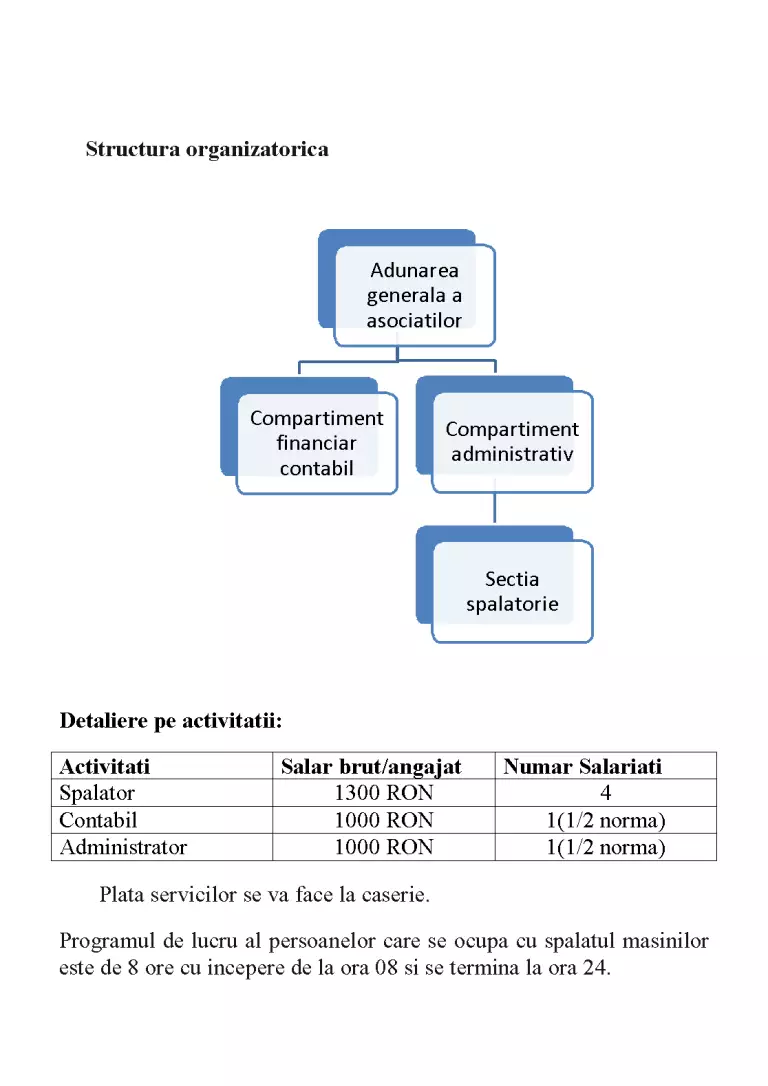 Plan de afaceri - Spălătorie auto - Proiect - Economie #381841 | RegieLive