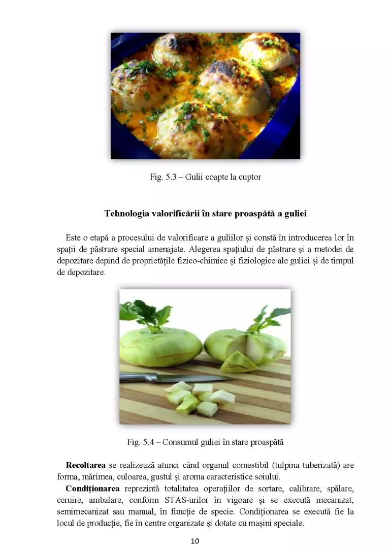 Standarde de calitate și comercializare pentru gulii - Proiect ...