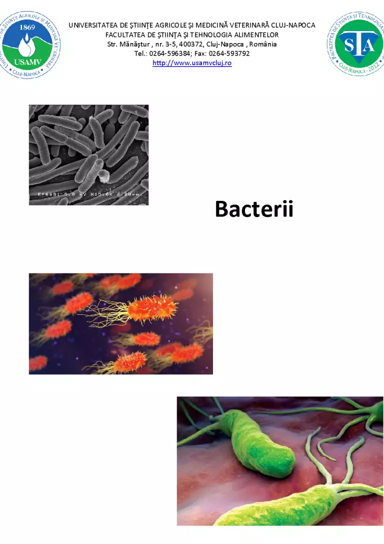 Bacterii - Referat - Biologie #390003 | RegieLive