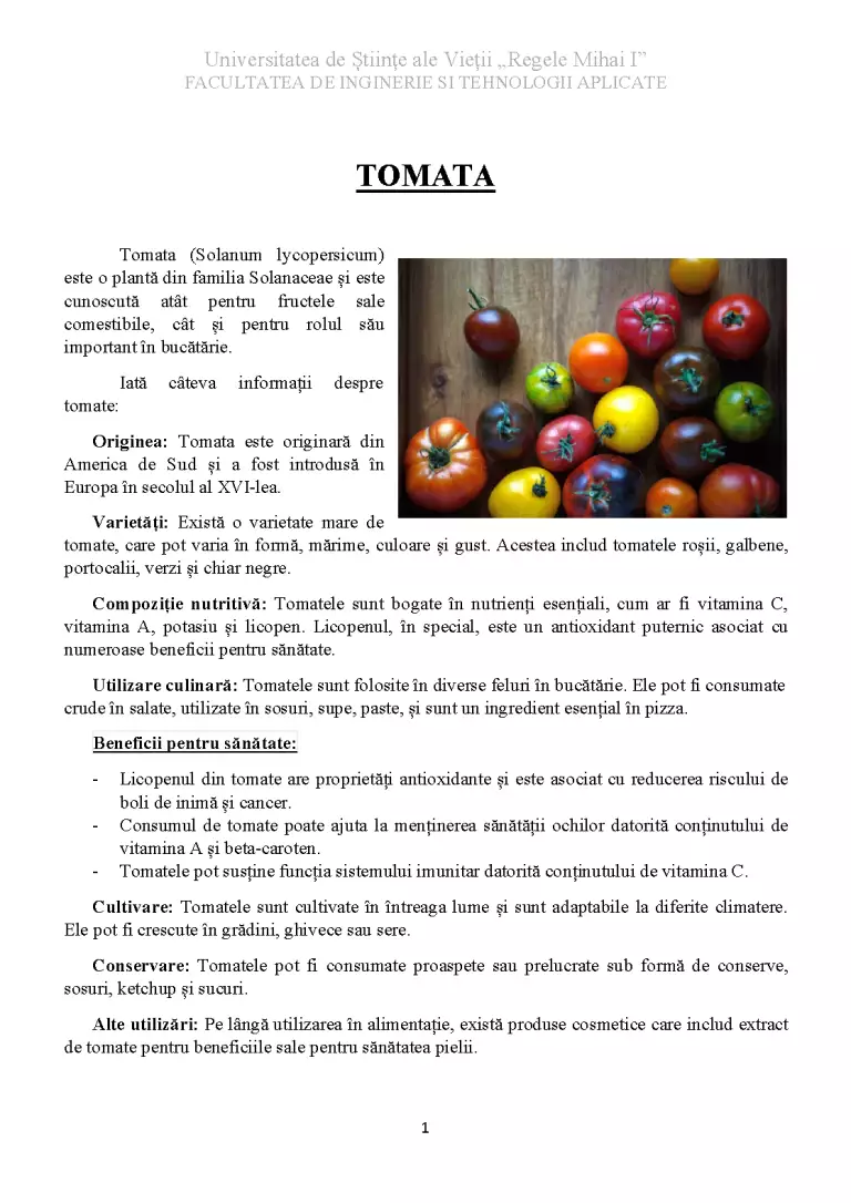 Tomata - Referat 2024 - Biologie #392928 | RegieLive