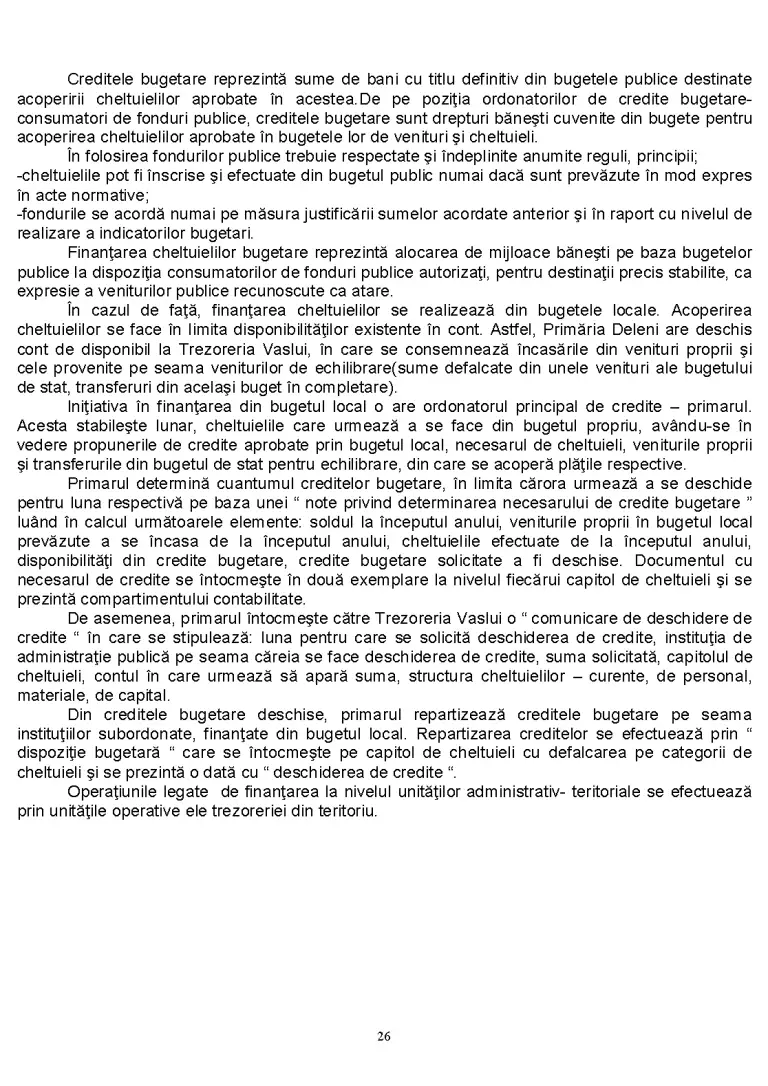 Fundamentarea indicatorilor financiari la Primăria Deleni, Vaslui ...