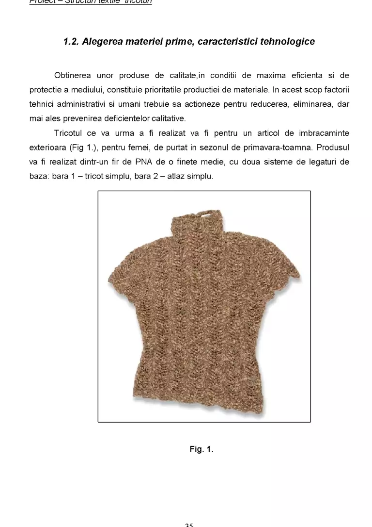 Structuri Textile - Tricoturi - Proiect - Alte domenii #43152 | RegieLive