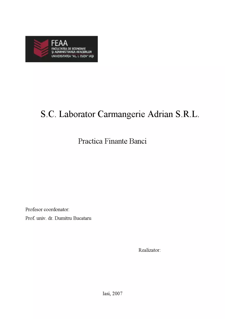 Practică finanțe bănci - SC Laborator Carmangerie Adrian SRL - Proiect ...