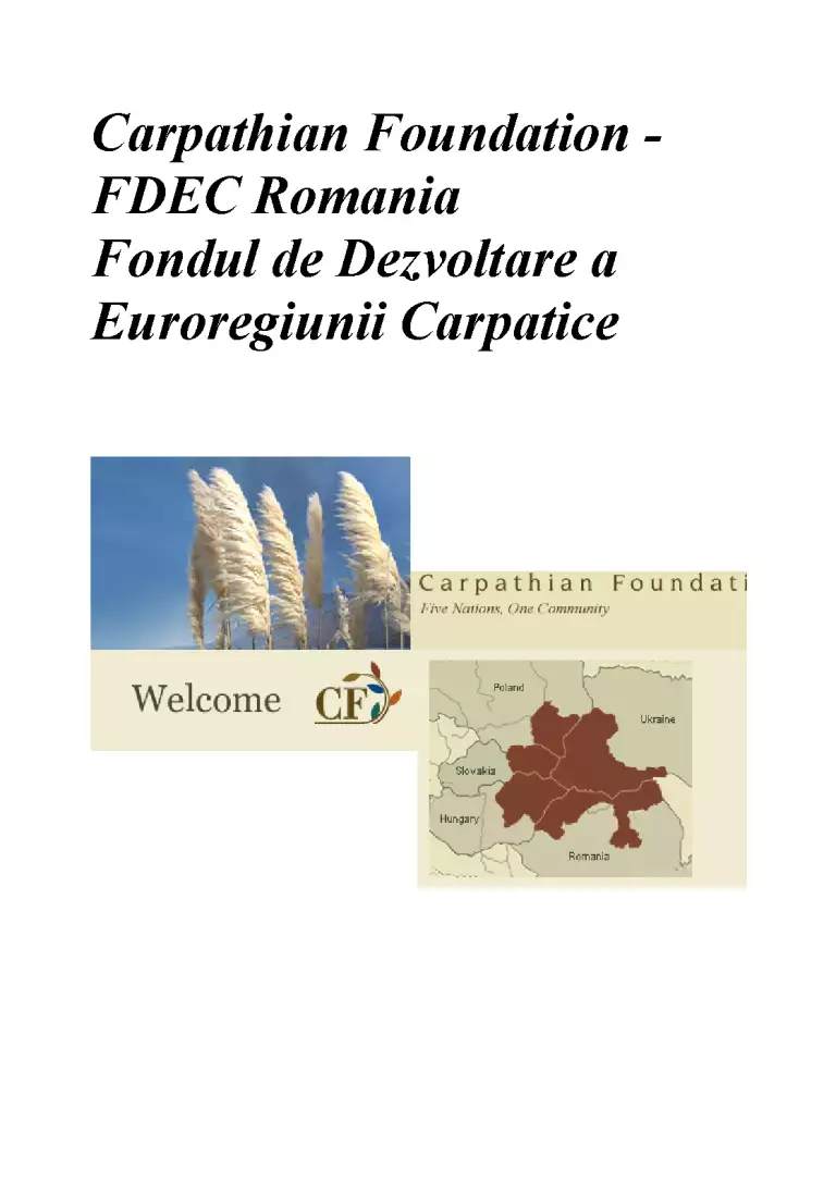 Carpathian Foundation - Fdec România - Fondul de Dezvoltare a ...