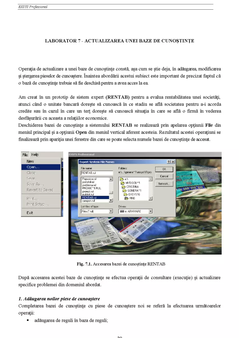 Laborator Sisteme Expert - Laborator - Economie #4401 | RegieLive