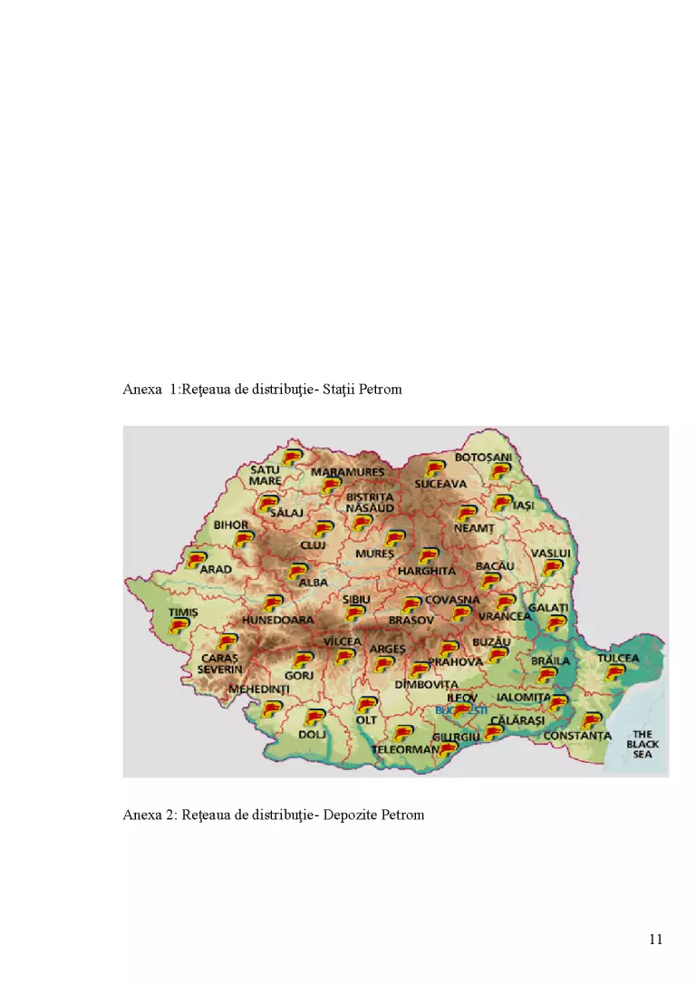 Societatea Naționala a Petrolului Petrom - Proiect - Management #47745 ...