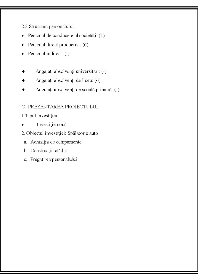Plan de afaceri - spălătorie auto - Proiect - Economie #78811 | RegieLive