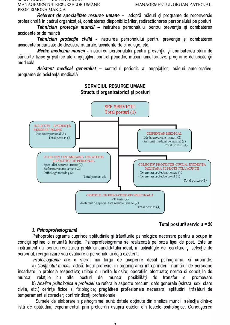 Managementul organizațional - Referat - Management #83752 | RegieLive
