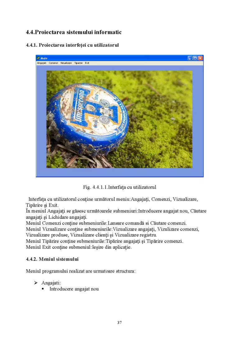Proiectarea sistemului informatic privind evidența livrărilor de ...