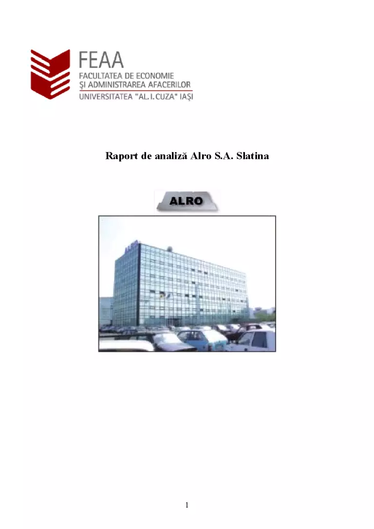 Raport de analiza Alro SA Slatina - Proiect - Finanțe #94172 | RegieLive
