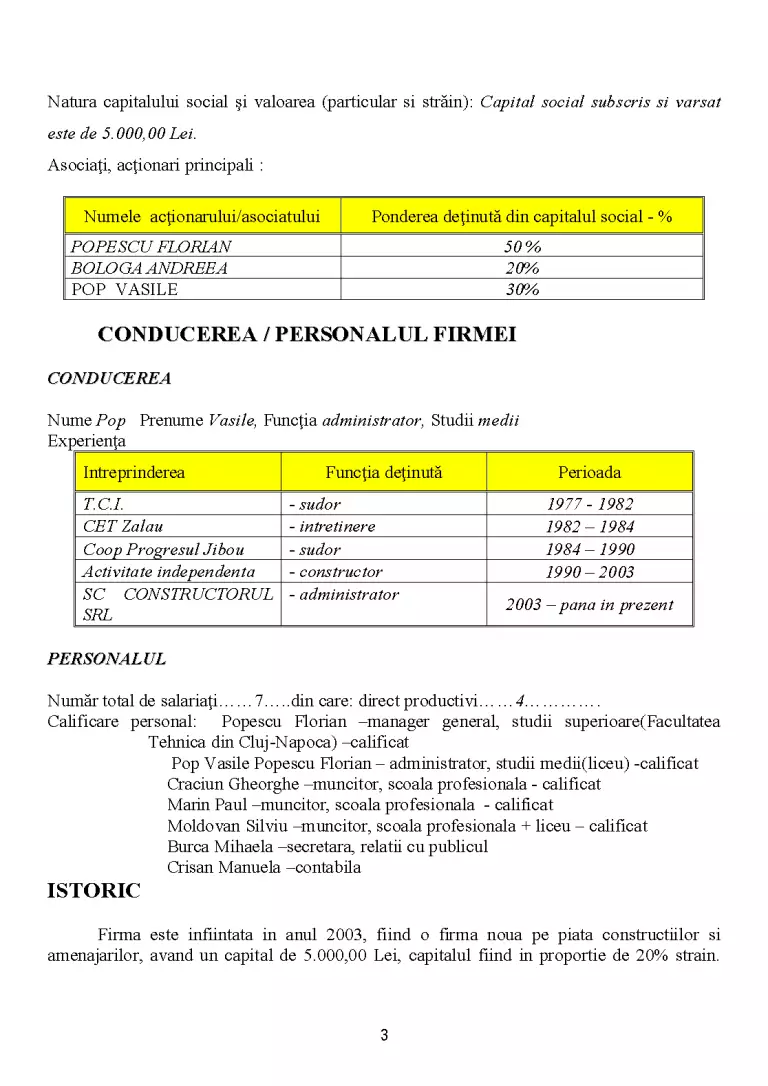 Plan de Afaceri - SC Constructorul SRL - Proiect - Management #94983 ...